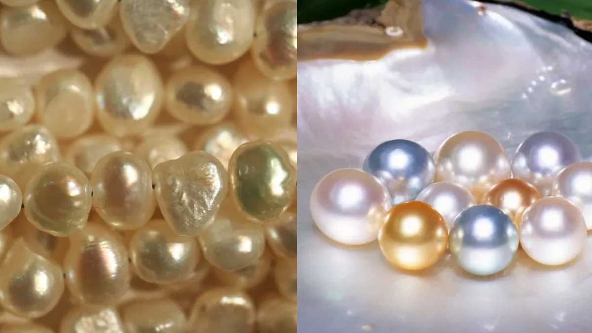 Mengenal Mutiara Dan Fakta Unik Di Dalamnya